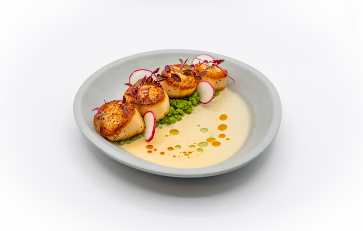 TreeTop Kitchen | Busch Gardens Tampa Bay