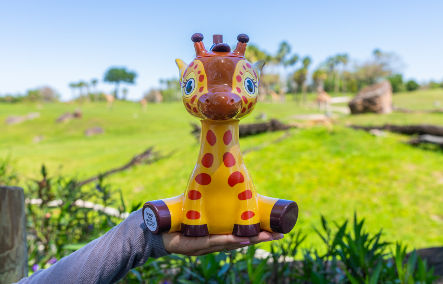 Giraffes Galore | Events | Busch Gardens Tampa Bay