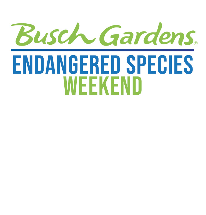 busch gardens coloring pages