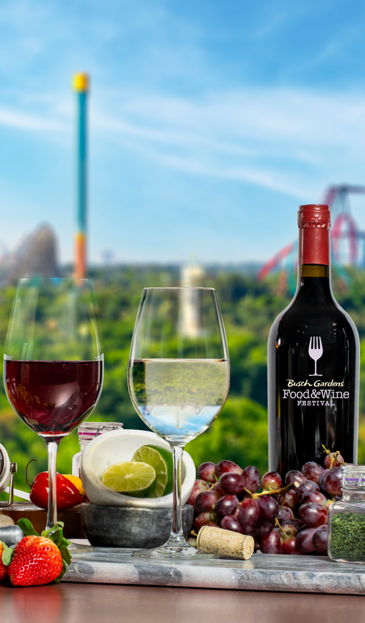 Food and wine festival store